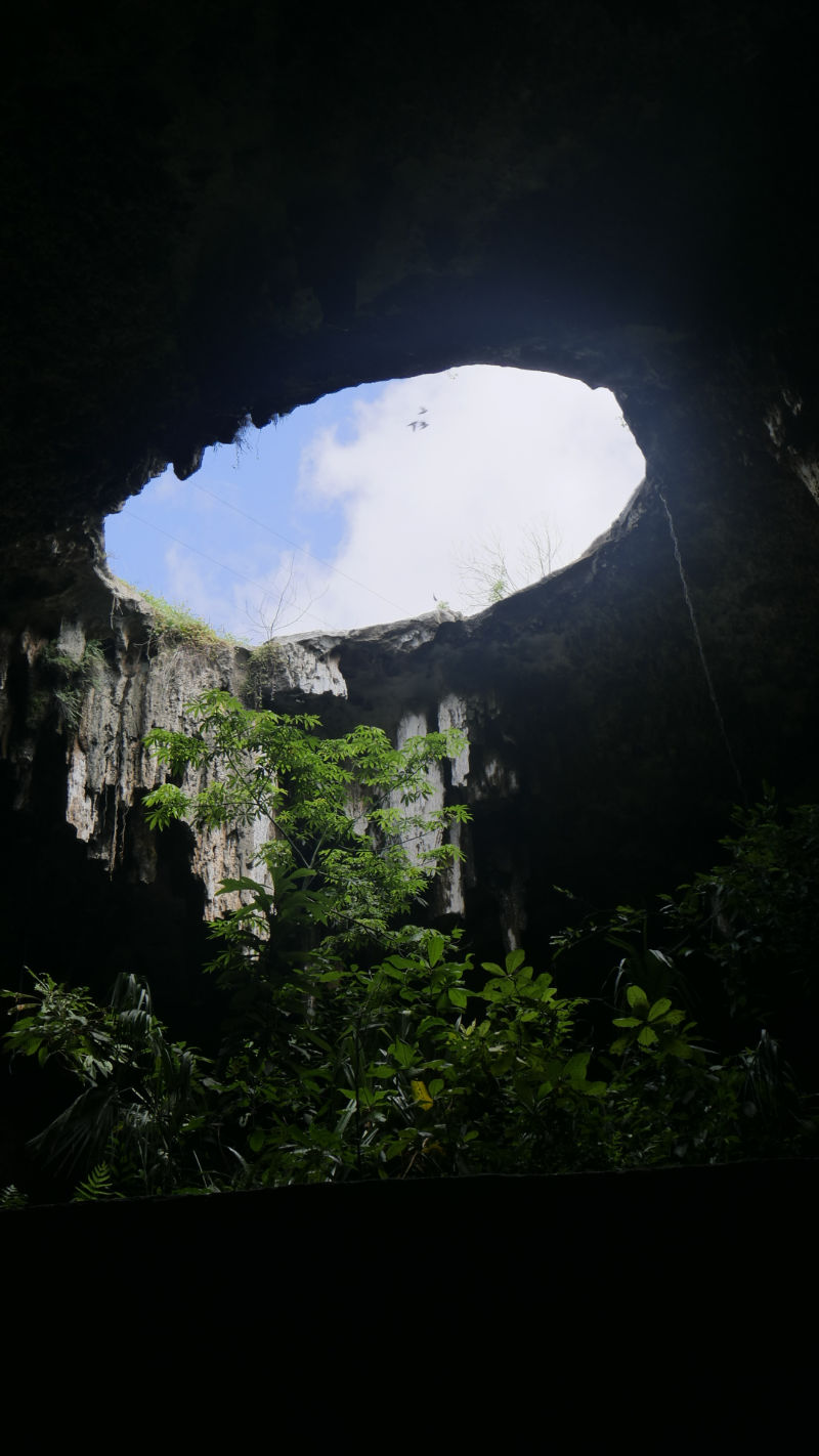 Cenote Tza Ujun Kat en Homún - TURISMO Homún